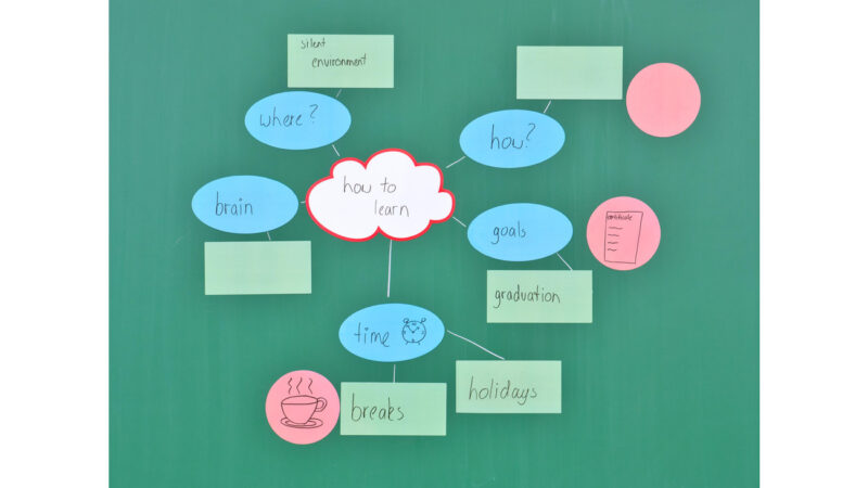 Magnetic Moderation Cards – Edusell Malta